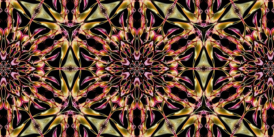 US-Autor über Halluzinogene als Medizin: „Psychedelika wirken wie ...